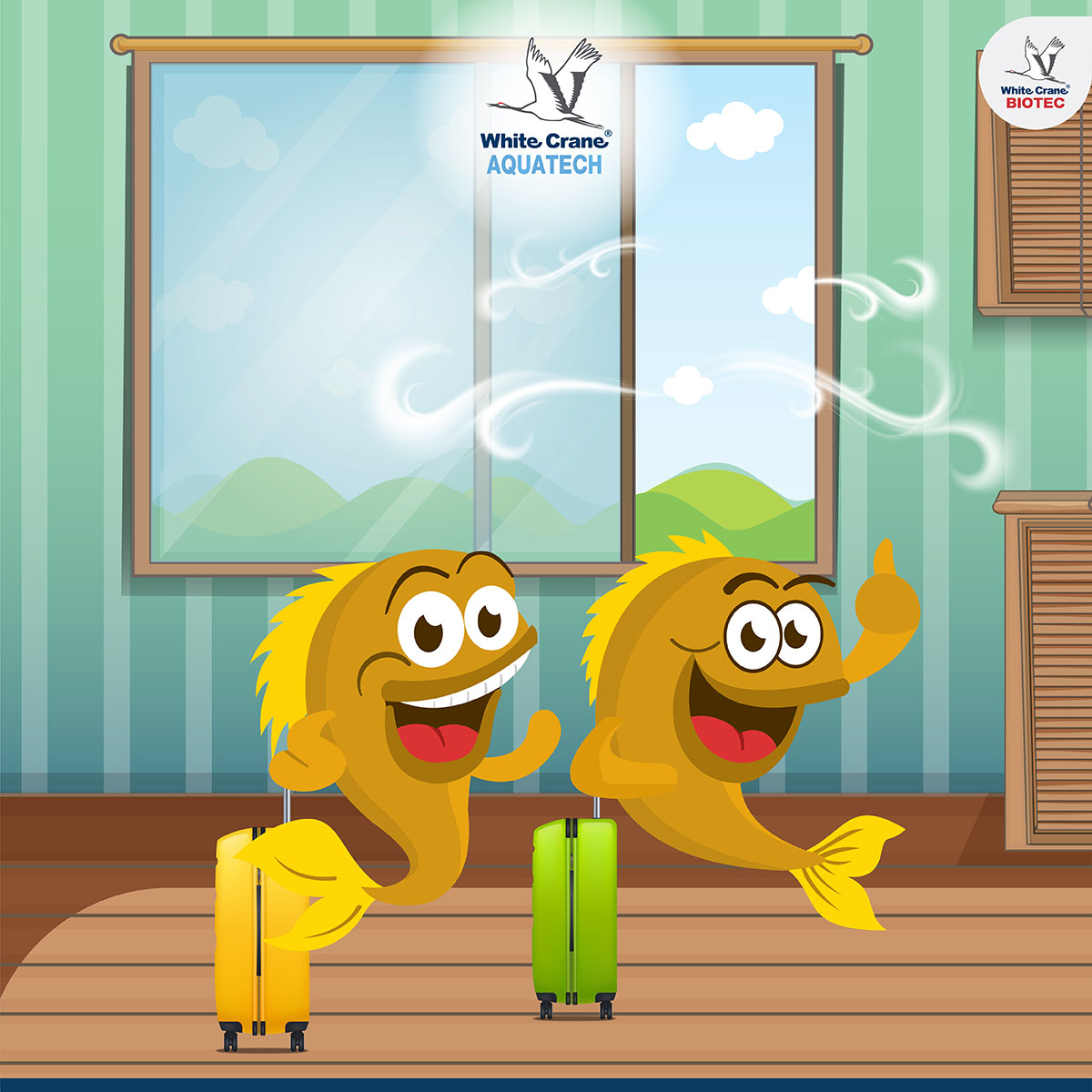 ฮวงจุ้ยกับการเลี้ยงปลาสวยงาม - Aquarium Fish Clinic