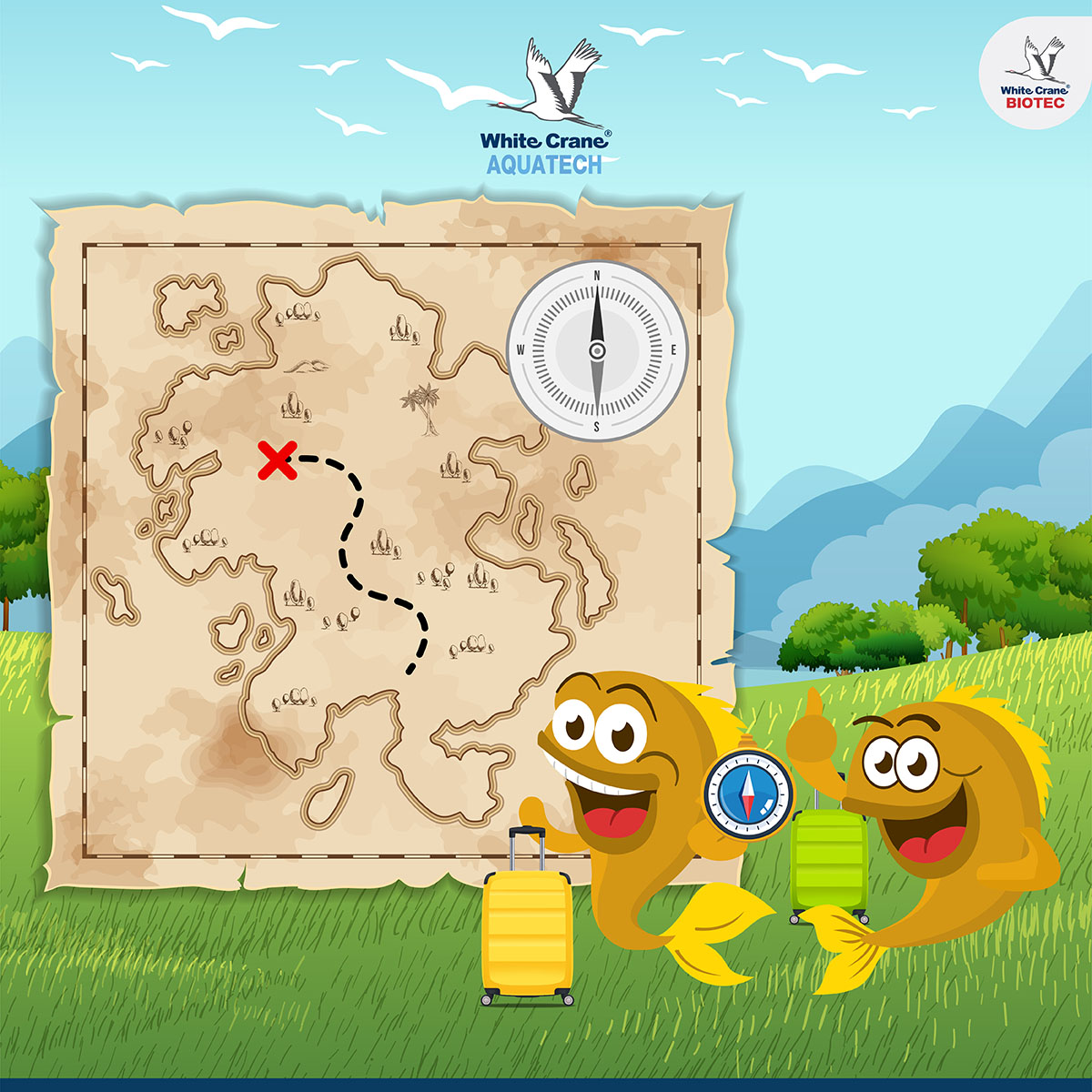 ฮวงจุ้ยกับการเลี้ยงปลาสวยงาม - Aquarium Fish Clinic