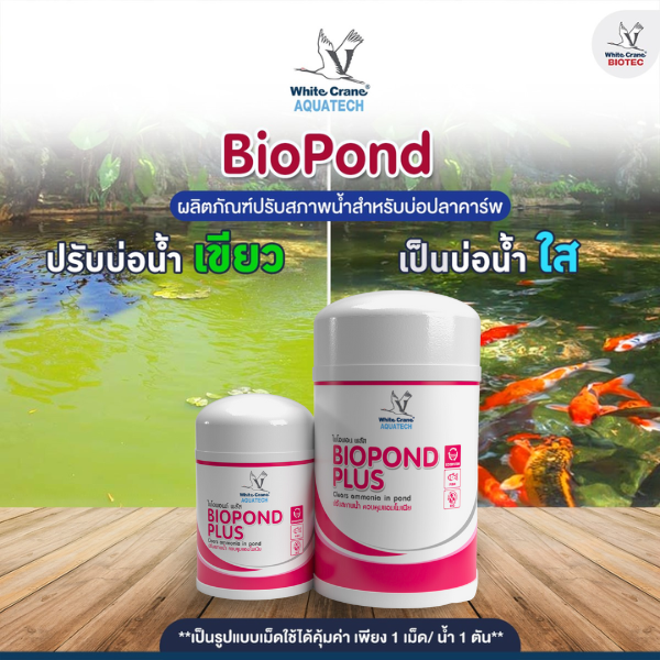 แก้ปัญหาน้ำเขียวด้วย Bio Pond